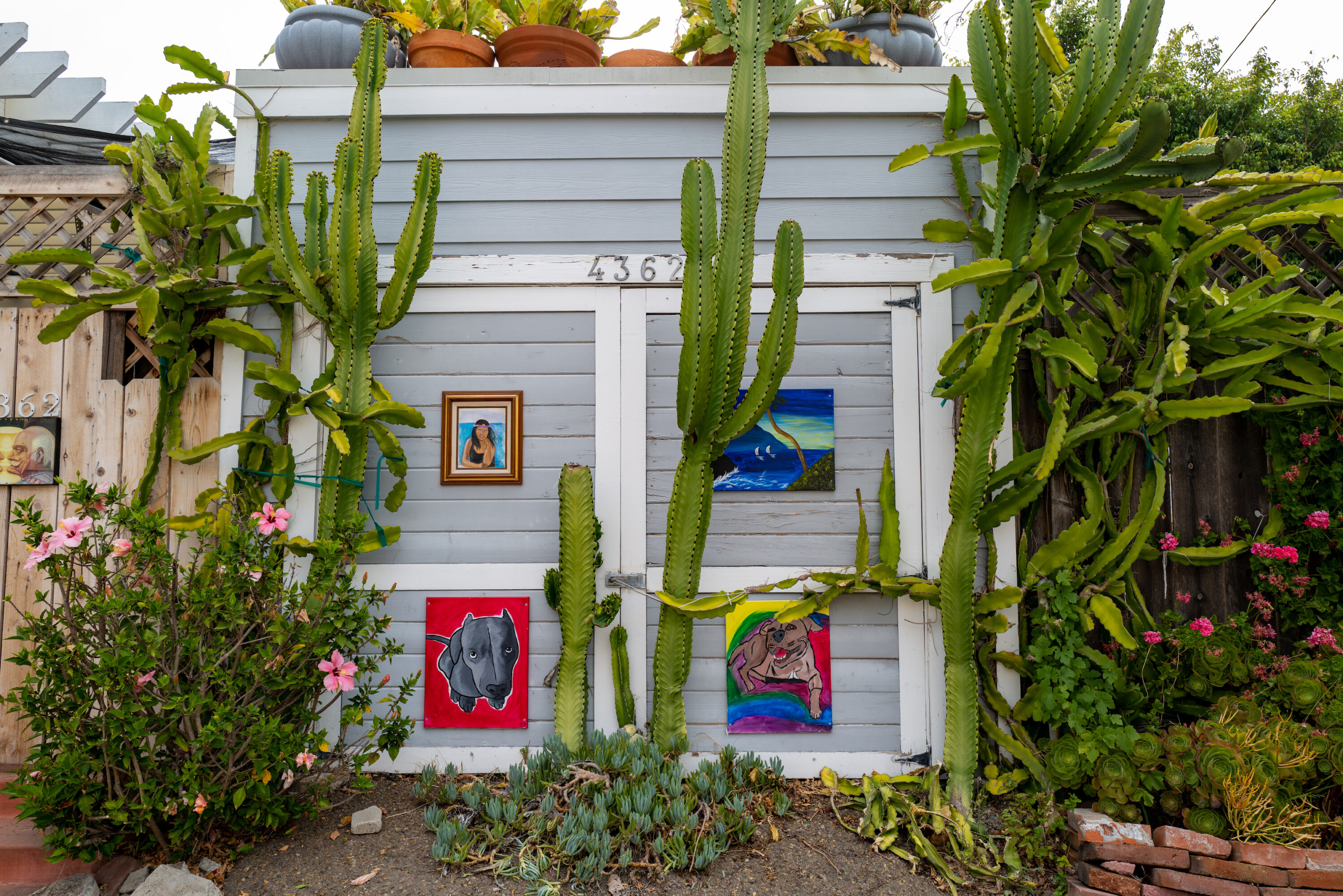 Alley Art Gallery – 5 Minutes with Joe