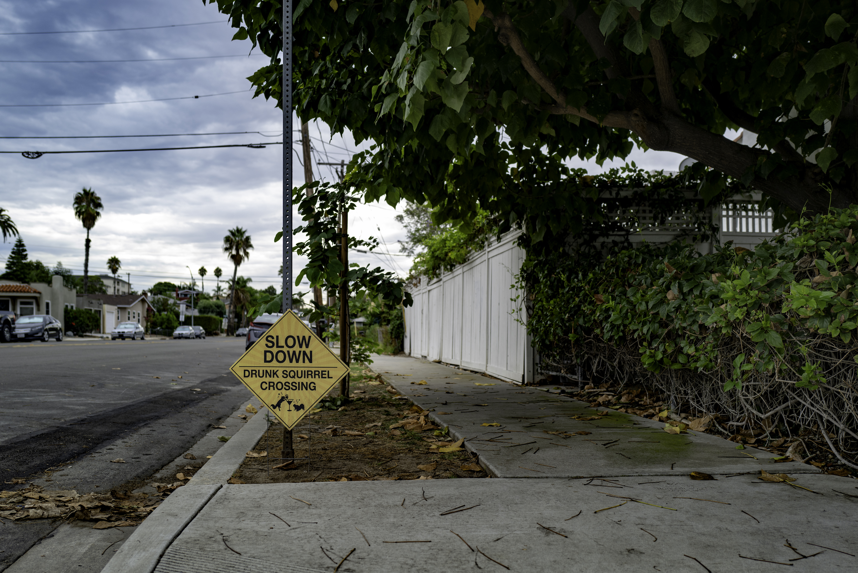 Remember, Rodents Right of Way – 5 Minutes with Joe
