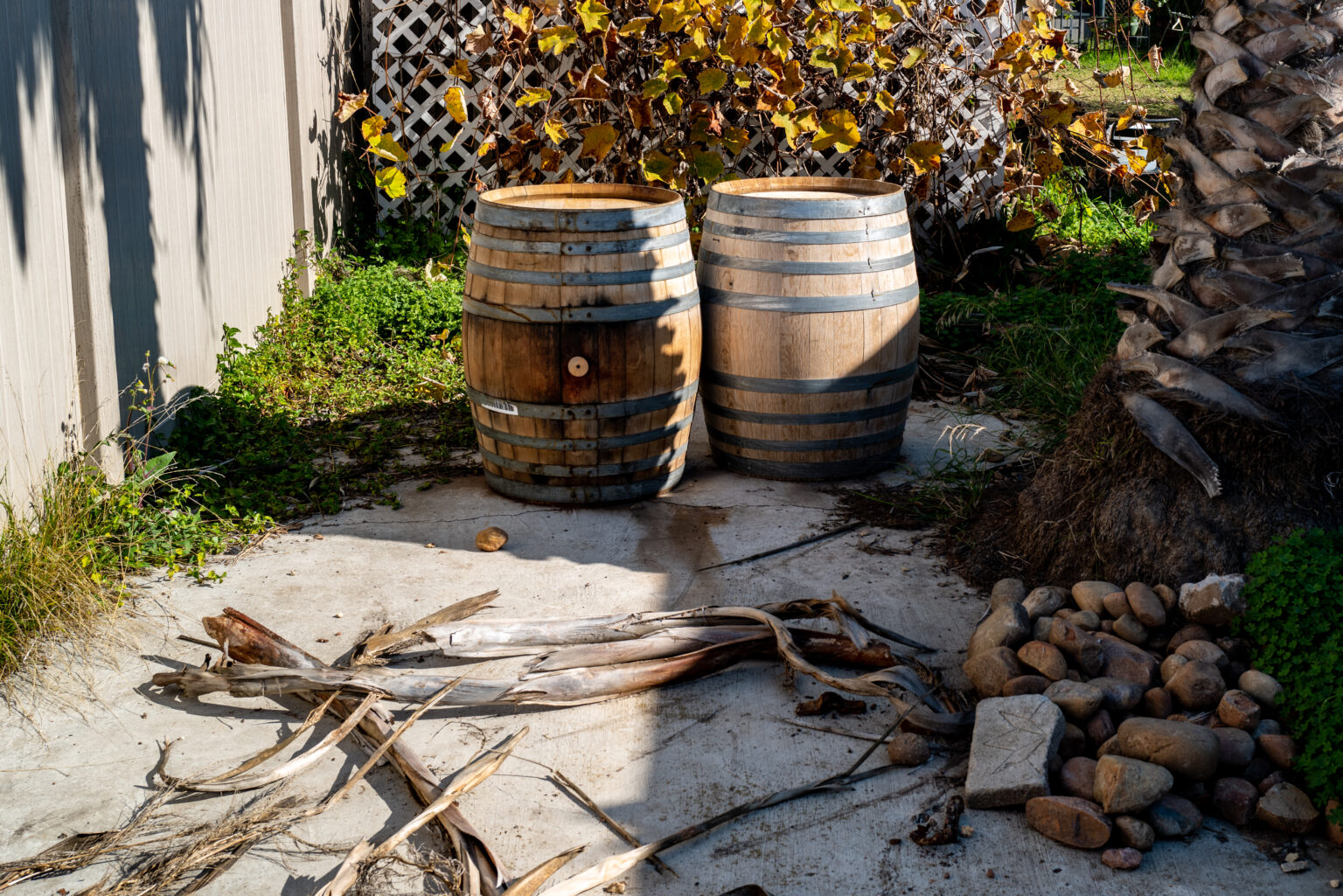 Two Barrels – 5 Minutes with Joe