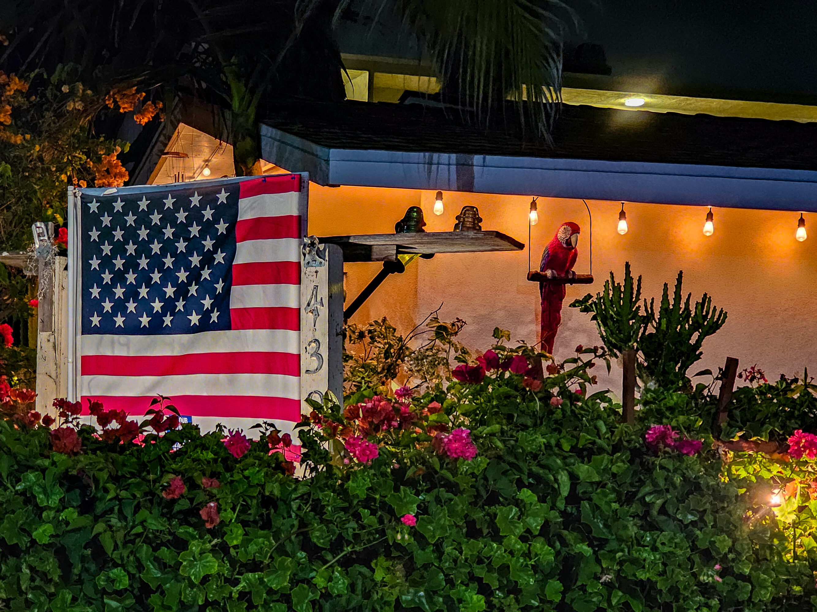 Parrot and American Flag – 5 Minutes with Joe