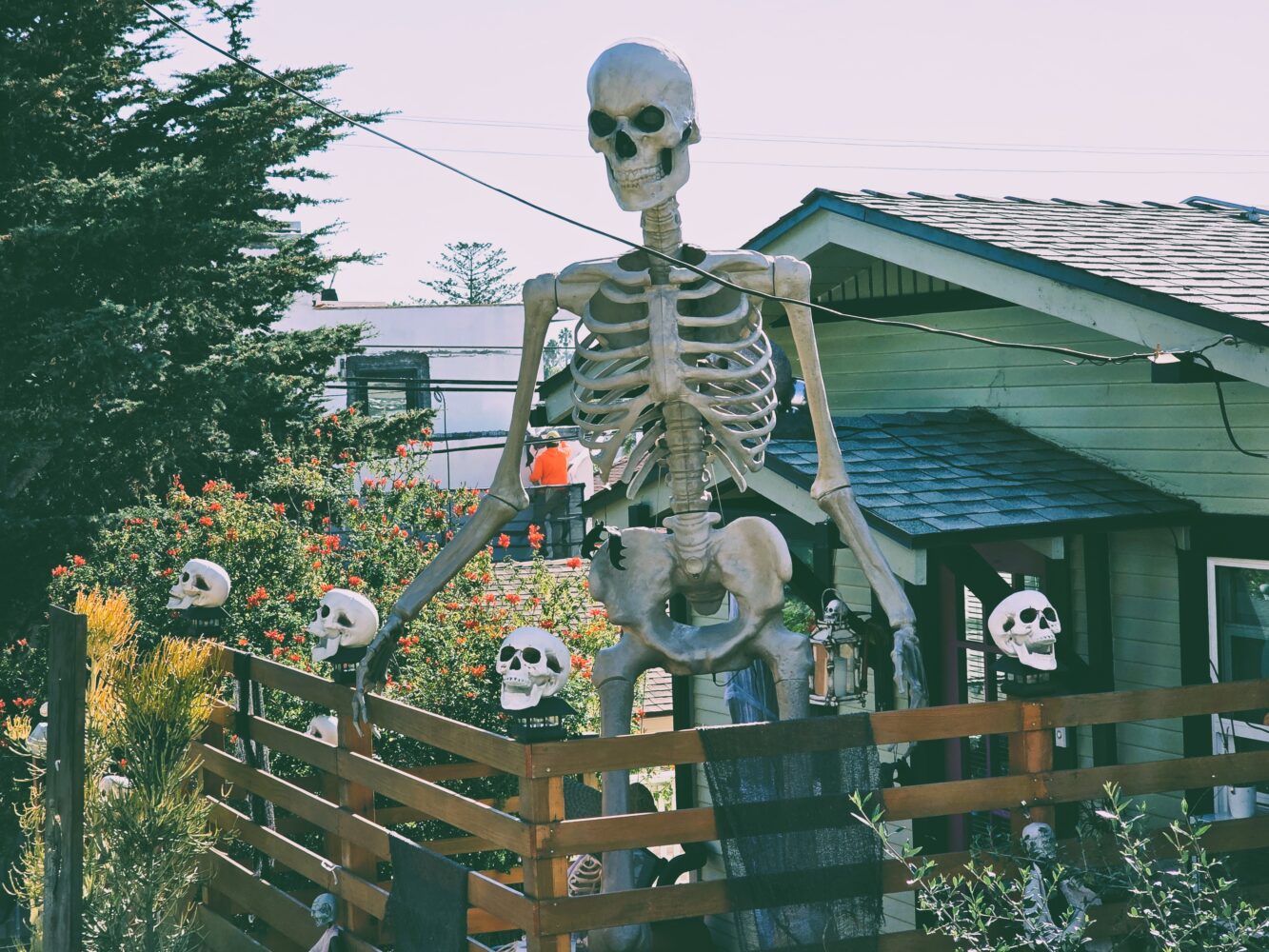Giant Skeleton Close – 5 Minutes with Joe